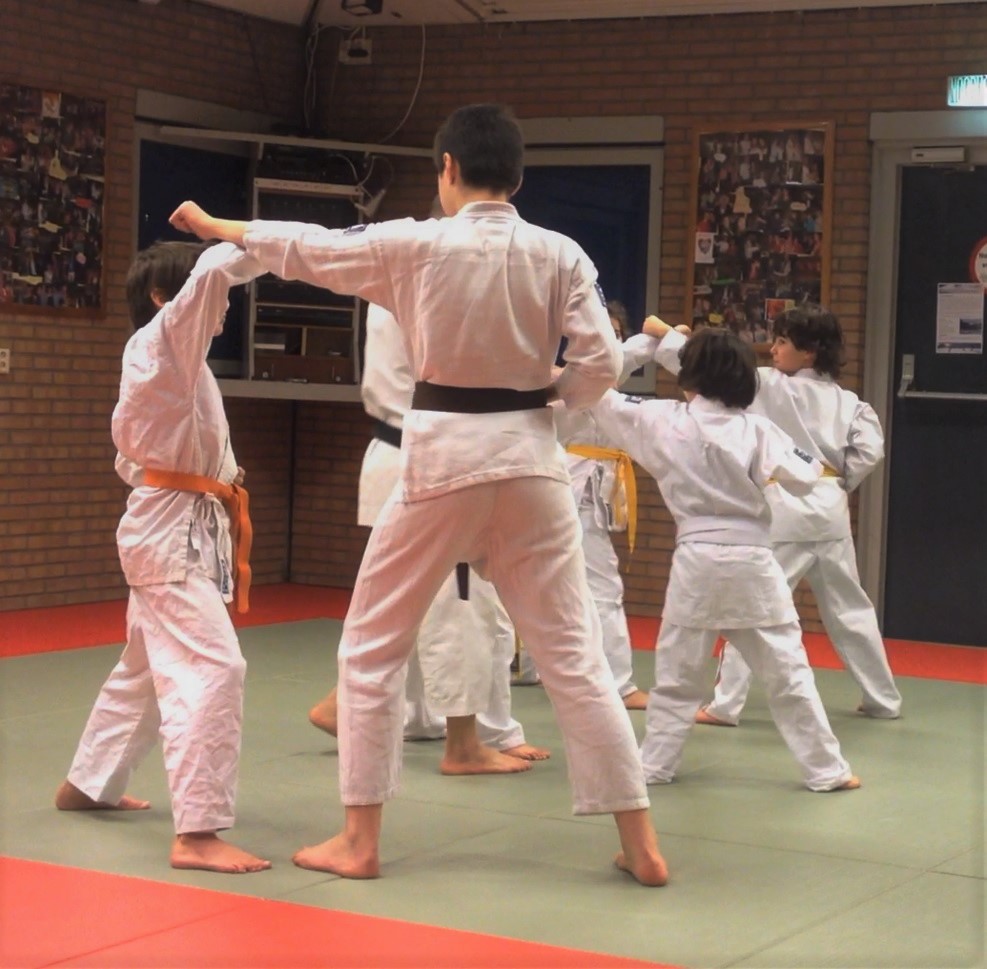 Karate – Buurtvereniging Jacob Maris